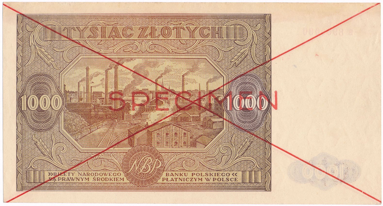 WZÓR / SPECIMEN 1.000 złotych 15.01.1946 seria B | archiwum.niemczyk.pl