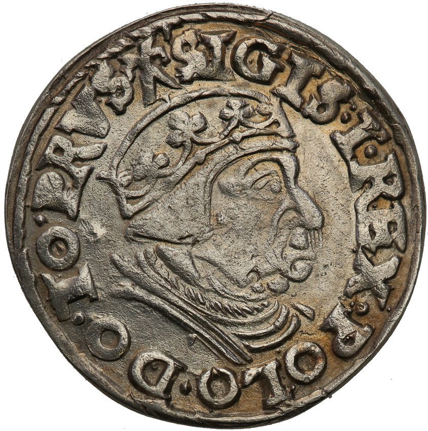 Zygmunt I Stary. Trojak 1538 (3 grosze), Gdańsk | archiwum.niemczyk.pl