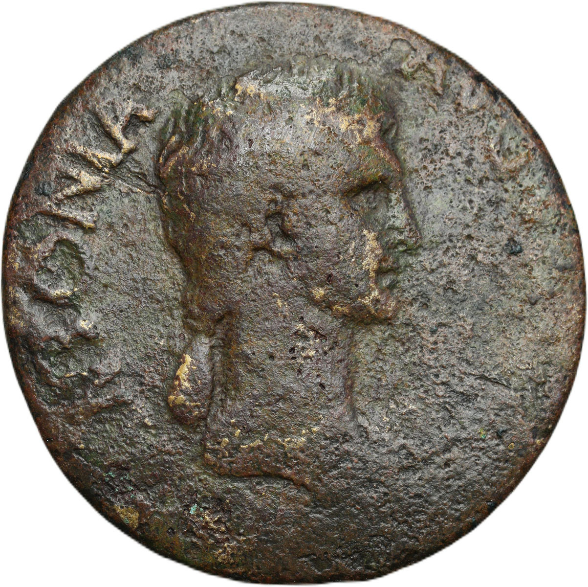 Cesarstwo Rzymskie, Antonia (36 p. n. e. - 37 n. e.) matka Klaudiusza ...